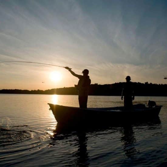 Réserve faunique de Papineau-Labelle Tourisme Petite Nation